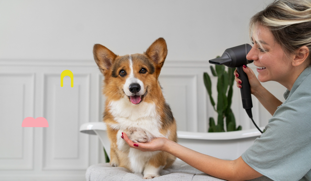 Pet Parent Review: My Dog’s Spa Day at Starlux Pet Universe | Pksoi